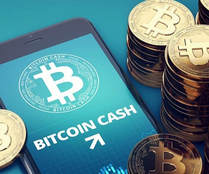 Bitcoin Cash là gì? Đồng Bitcoin Cash và đồng Bitcoin có khác gì nhau ...